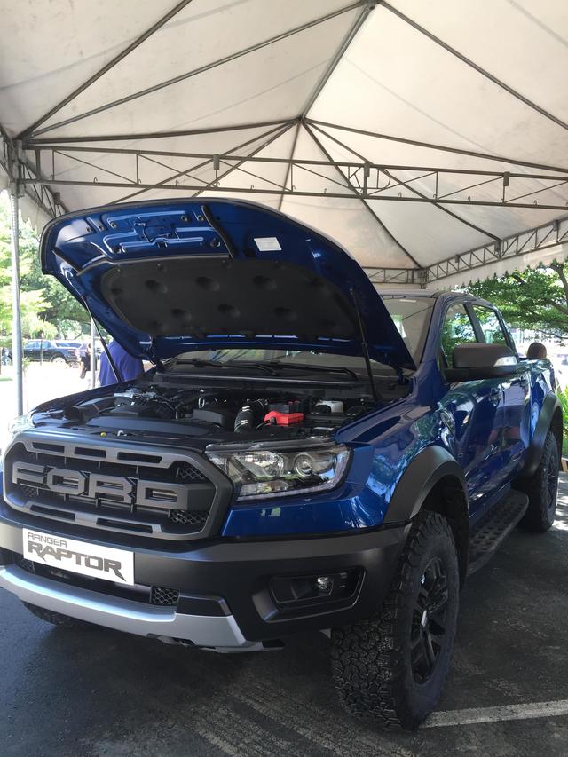 Ford Ranger Raptor Photos and Specs. Photo: Ford Ranger Raptor ...