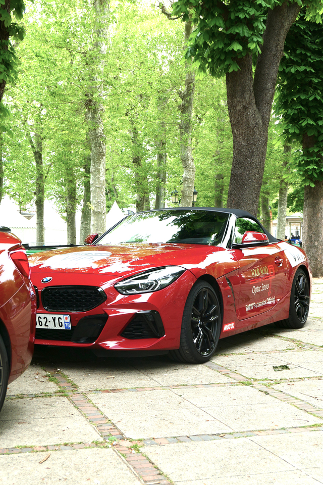 BMW Z4 Roadster (G29) Photos and Specs. Photo: BMW Z4 Roadster (G29 ...