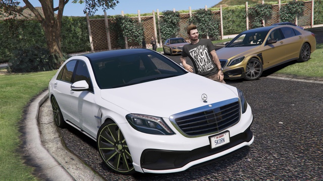 Mercedes S-Class (W222) Photos and Specs. Photo: Mercedes S-Class (W222 ...